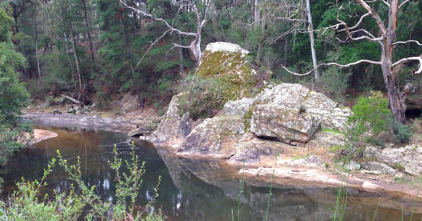 Byers Back Track (12.5km) - Lerderderg State Park, VIC