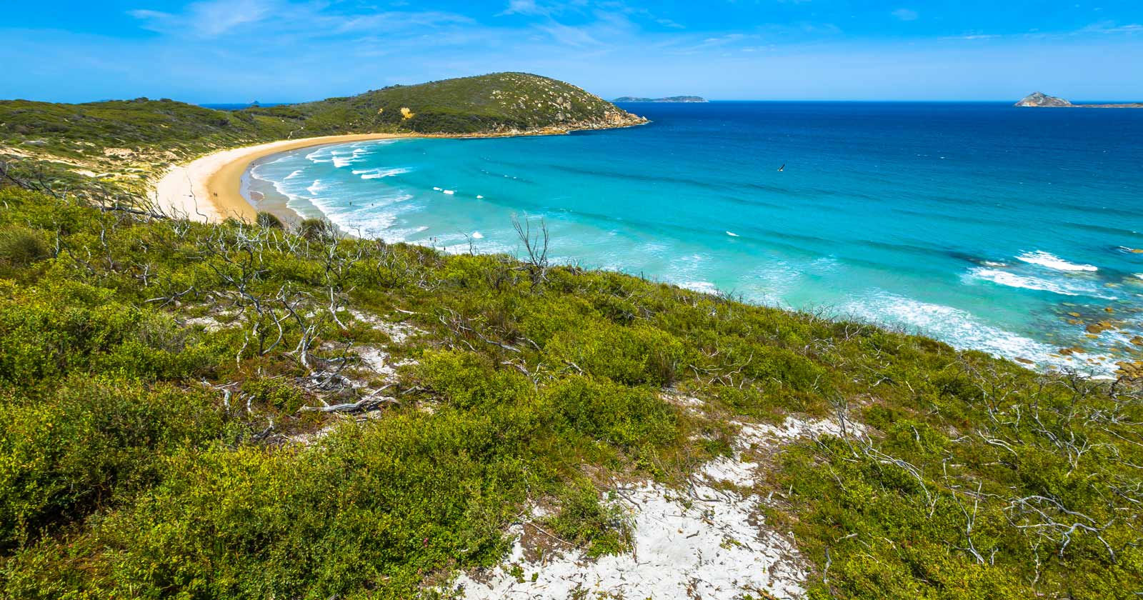 Three Bays Walk (12.5km) - Wilsons Promontory National Park, VIC