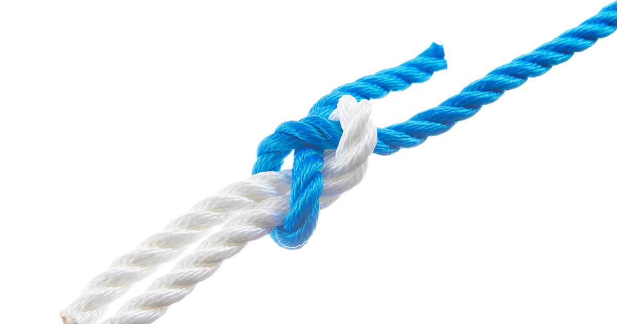 Useful knots for hikers: Types and tips