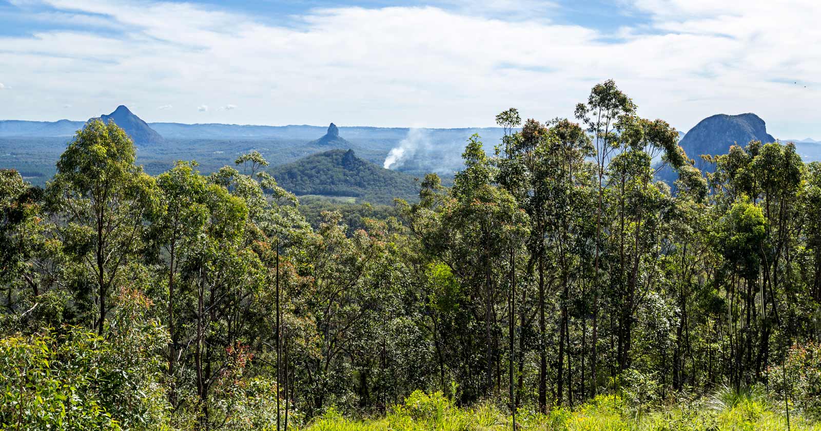 Mount Beerburrum Summit Walk (3.5km) - Glass House Mountains National ...