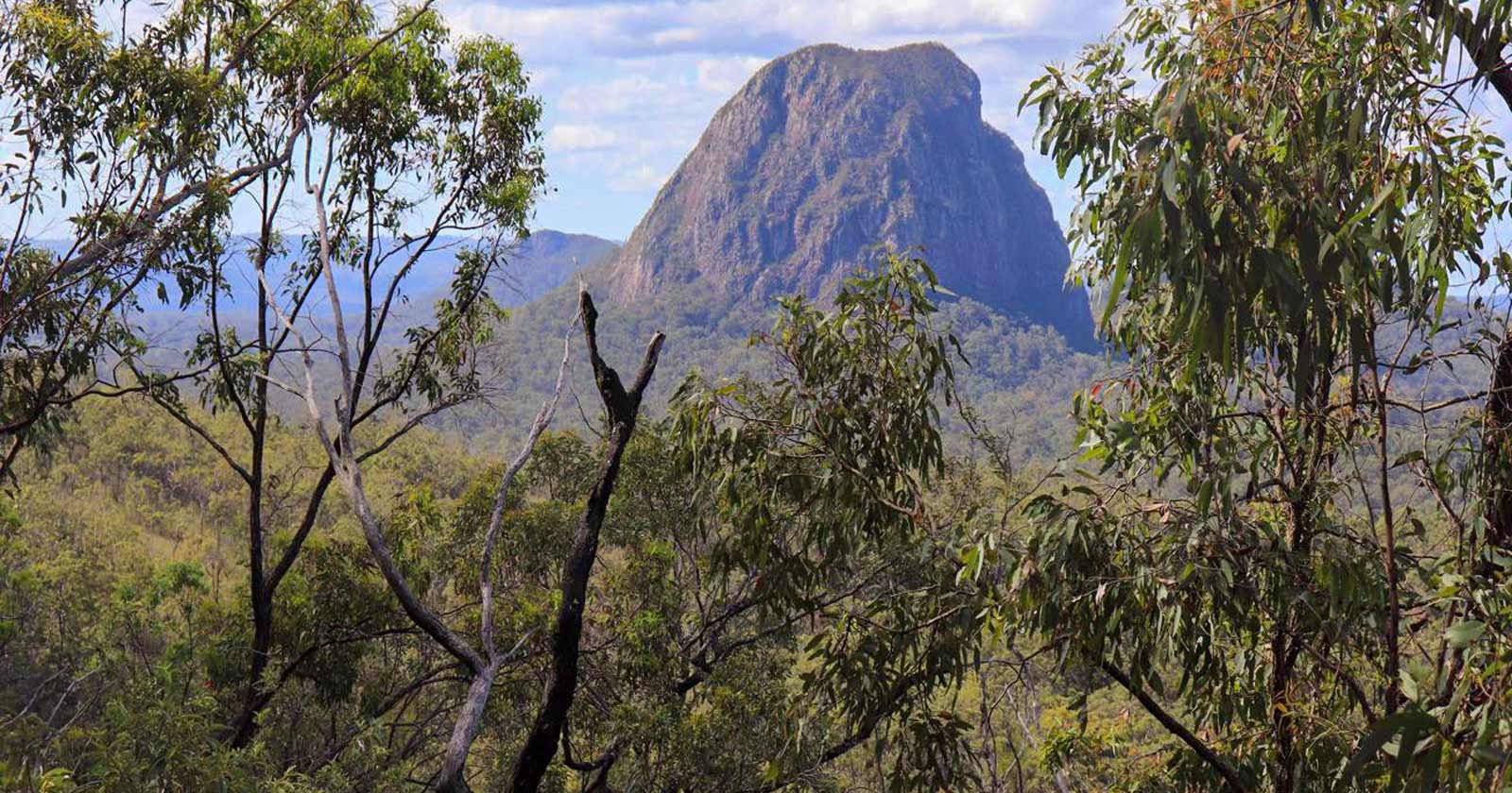 Yul-yan-man Track (9km) - Glass House Mountains National Park, QLD