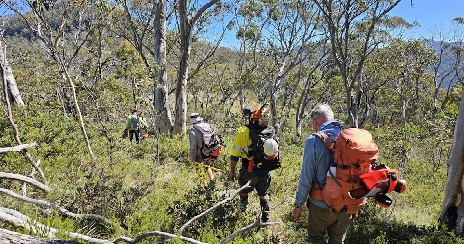 Unleash the explorer: Join Australia's Bushwalking Clubs