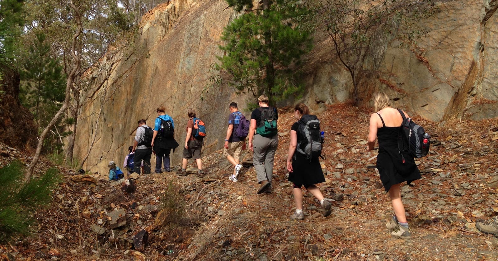 What’s in a Name? Bushwalking and Hiking