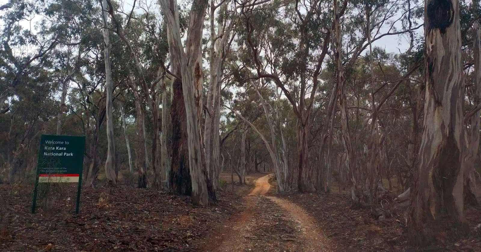 Blue Gum Ridge Traverse (15km) - Kara Kara National Park, VIC