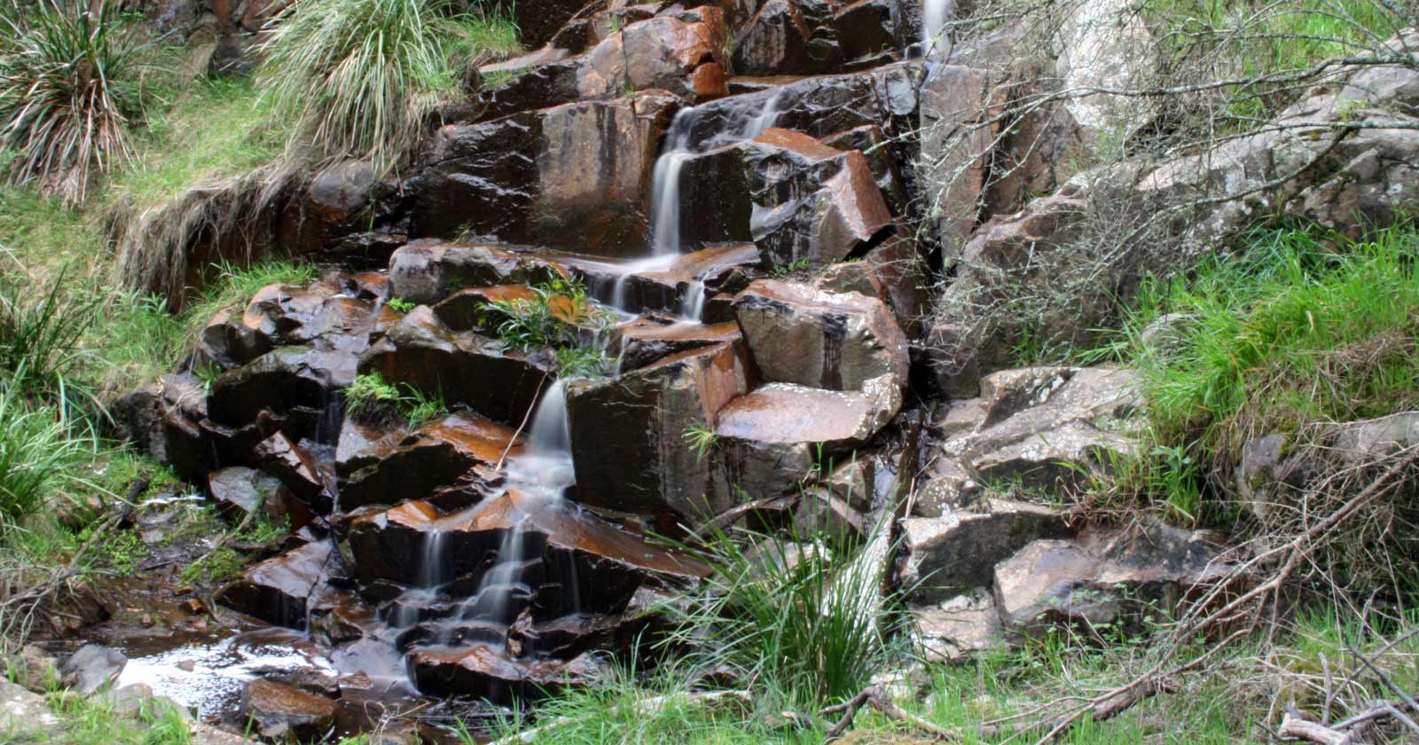 King Falls Circuit Walk (1km) - Arthurs Seat State Park, VIC
