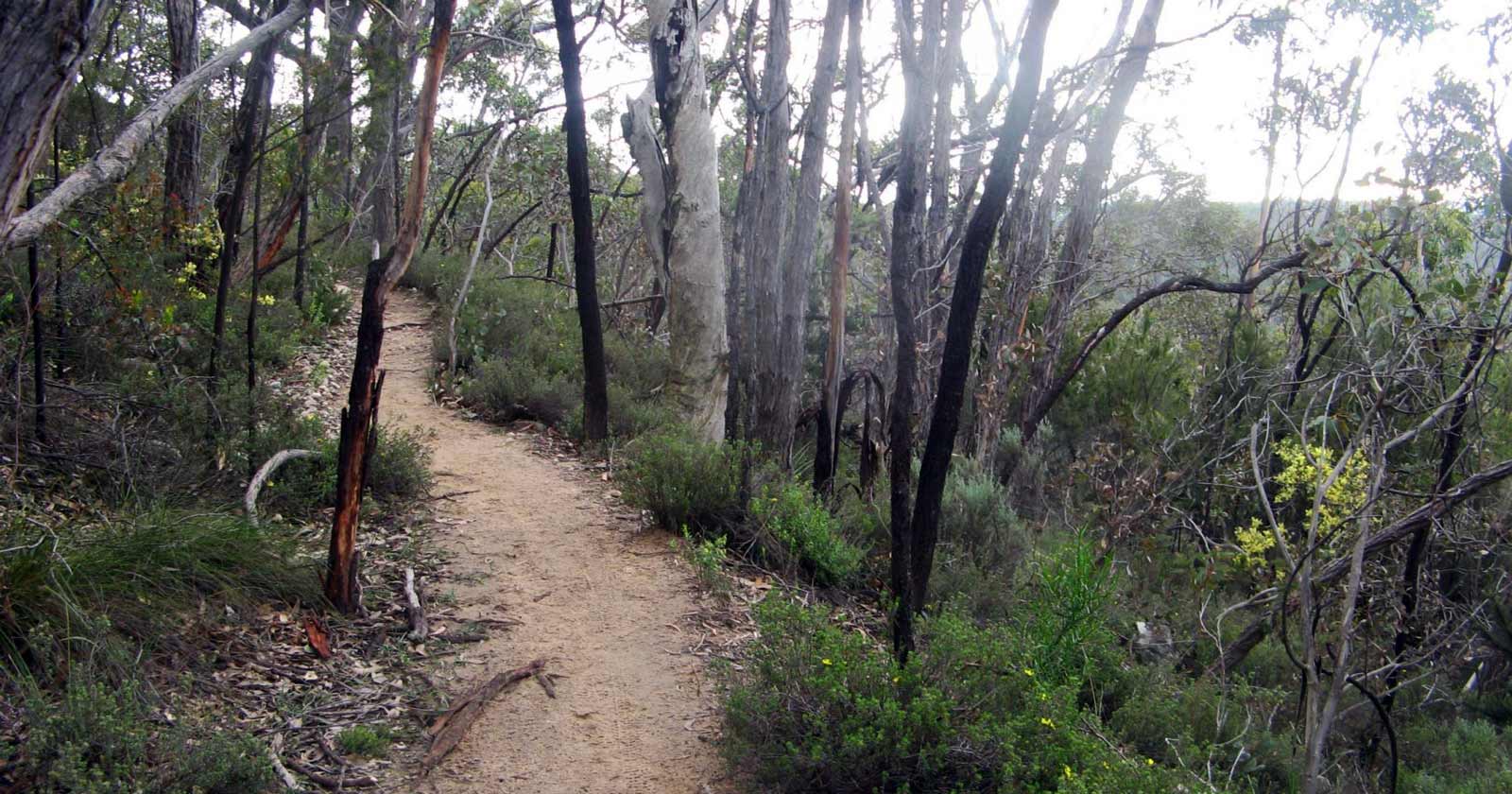 Measday Circuit Walk (4.8km) - Cle­land Nation­al Park, SA