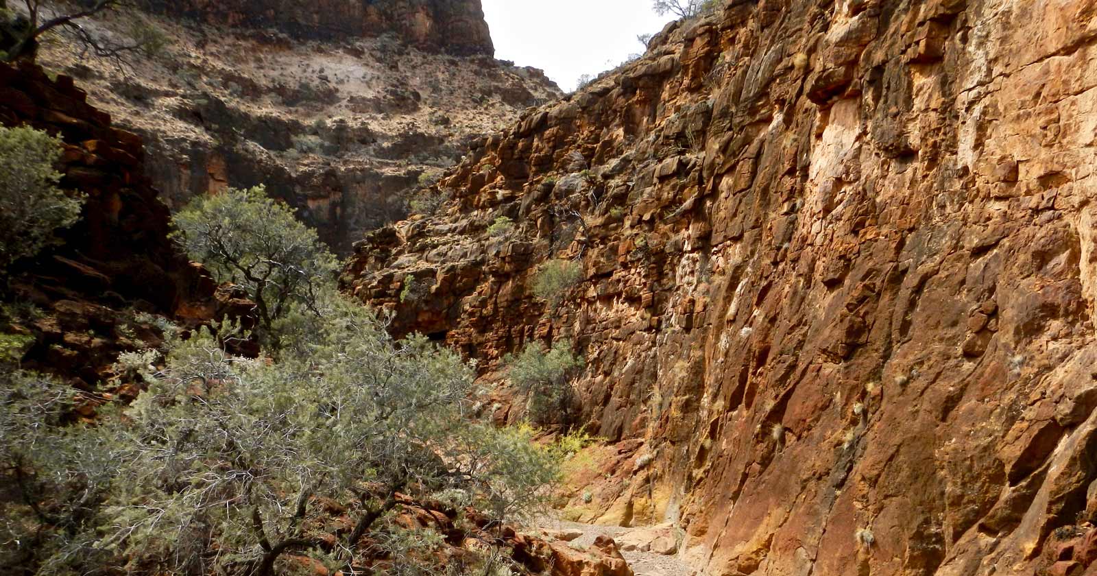 Mount Chambers Gorge Traverse (18km) - Wertaloona, SA