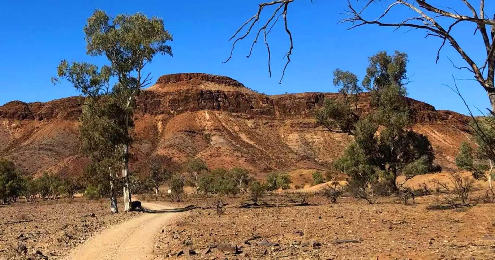 Mount Chambers Summit Hike (4.8km) - Wertaloona, SA