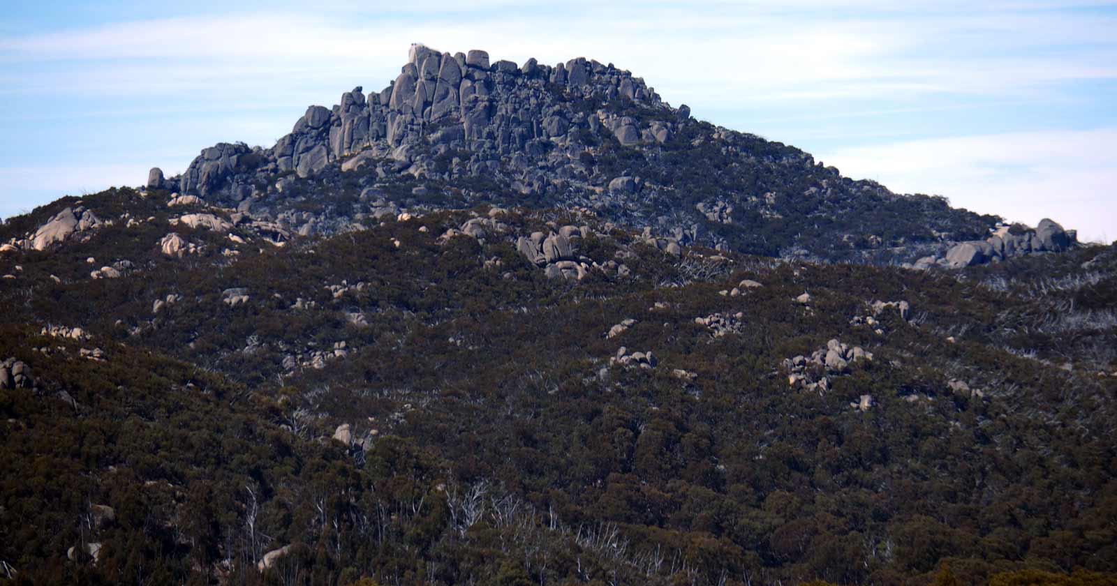 Mount McLeod Summit via Big Walk (56km) - Mount Buffalo National Park, VIC