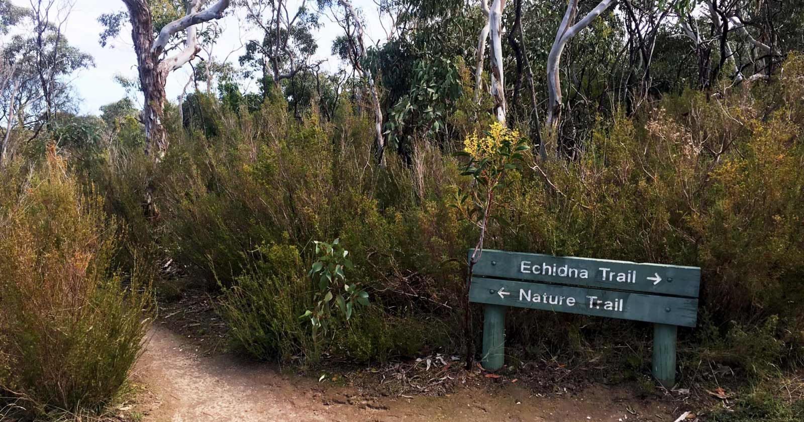 Nature Trail Circuit Walk (3.2km) - Onkaparinga River National Park, SA