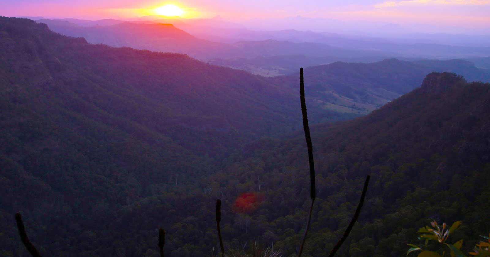 Python Rock Walk (3.1km) - Lamington National Park, QLD