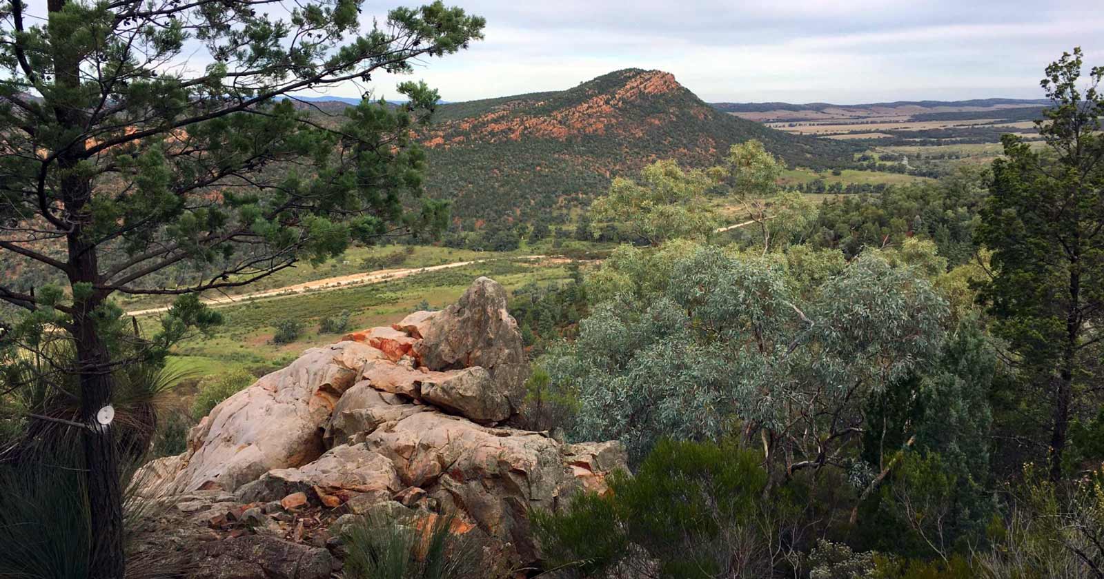 Warren Gorge Circuit Walk (5.2km) - Warren Conservation Park, SA