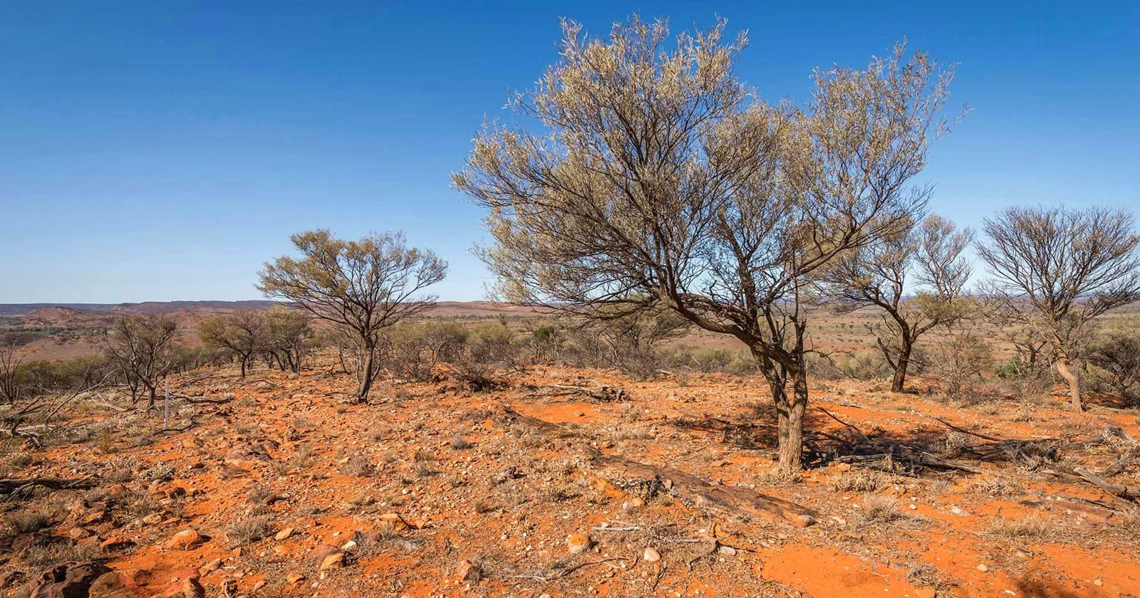 Western Ridge Walk (8.5km) - Mutawintji National Park, NSW
