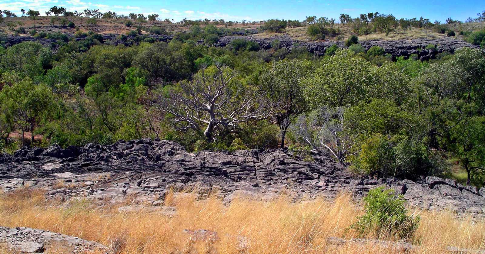 Limestone Ridge Loop Walk (1.8km) - Judbarra - Gregory National Park, NT