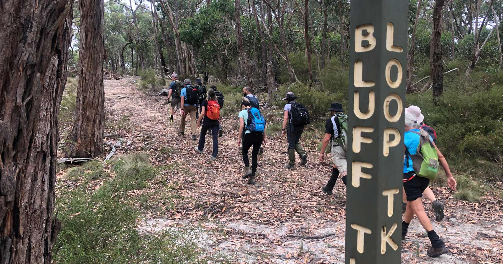 Northern Brisbane Ranges Circuit Hike (19.5km) - Brisbane Ranges ...