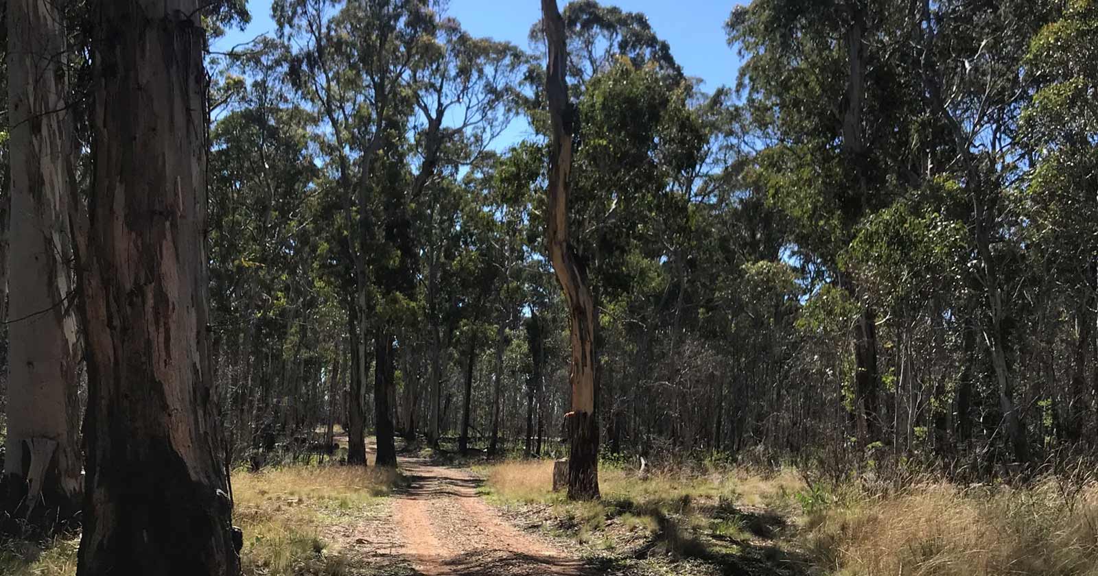 Booroomba Rocks Walk (4.5km) - Namadgi National Park, ACT