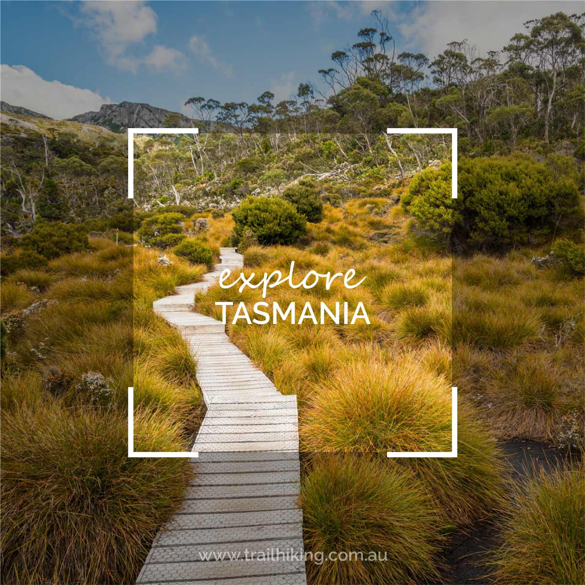 Hike Tasmania: Alpine Peaks, Wild Coastlines and Rainforest Trails