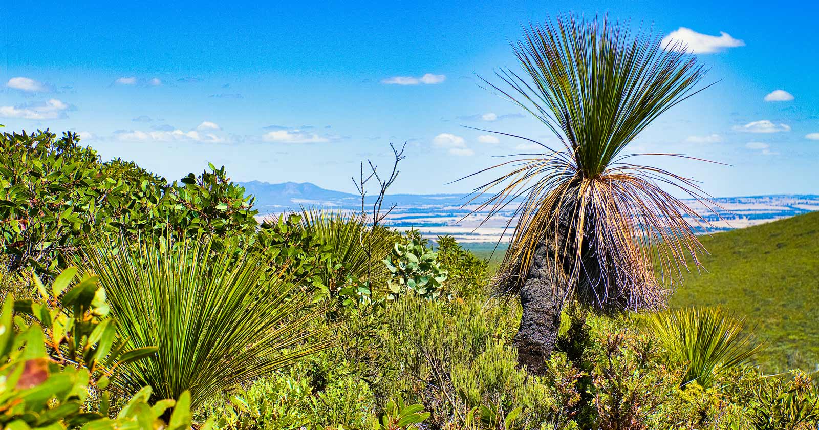 Stirling Range National Park: WA's Peak Adventure