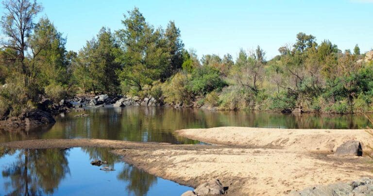 Hike Canberra and the ACT: Mountains, Nature Reserves and Riverside Trails