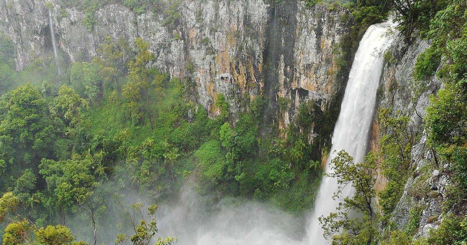 Exploring Springbrook National Park: A Natural Paradise