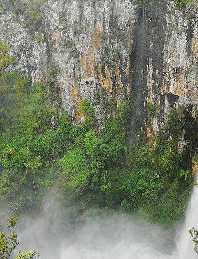 Exploring Springbrook National Park: A Natural Paradise