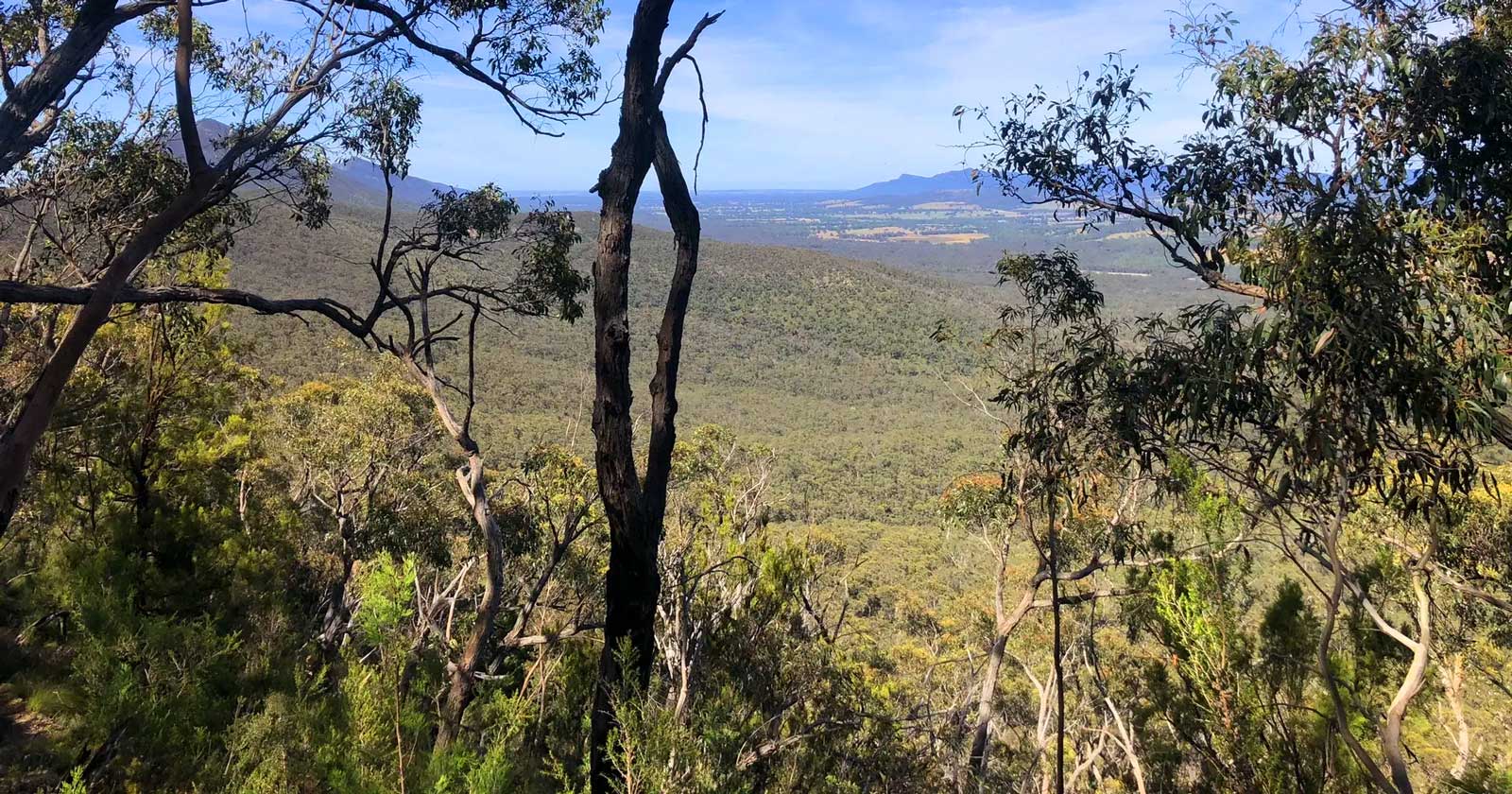 Teddy Bear Gap Loop (7.4km) - Grampians National Park, VIC