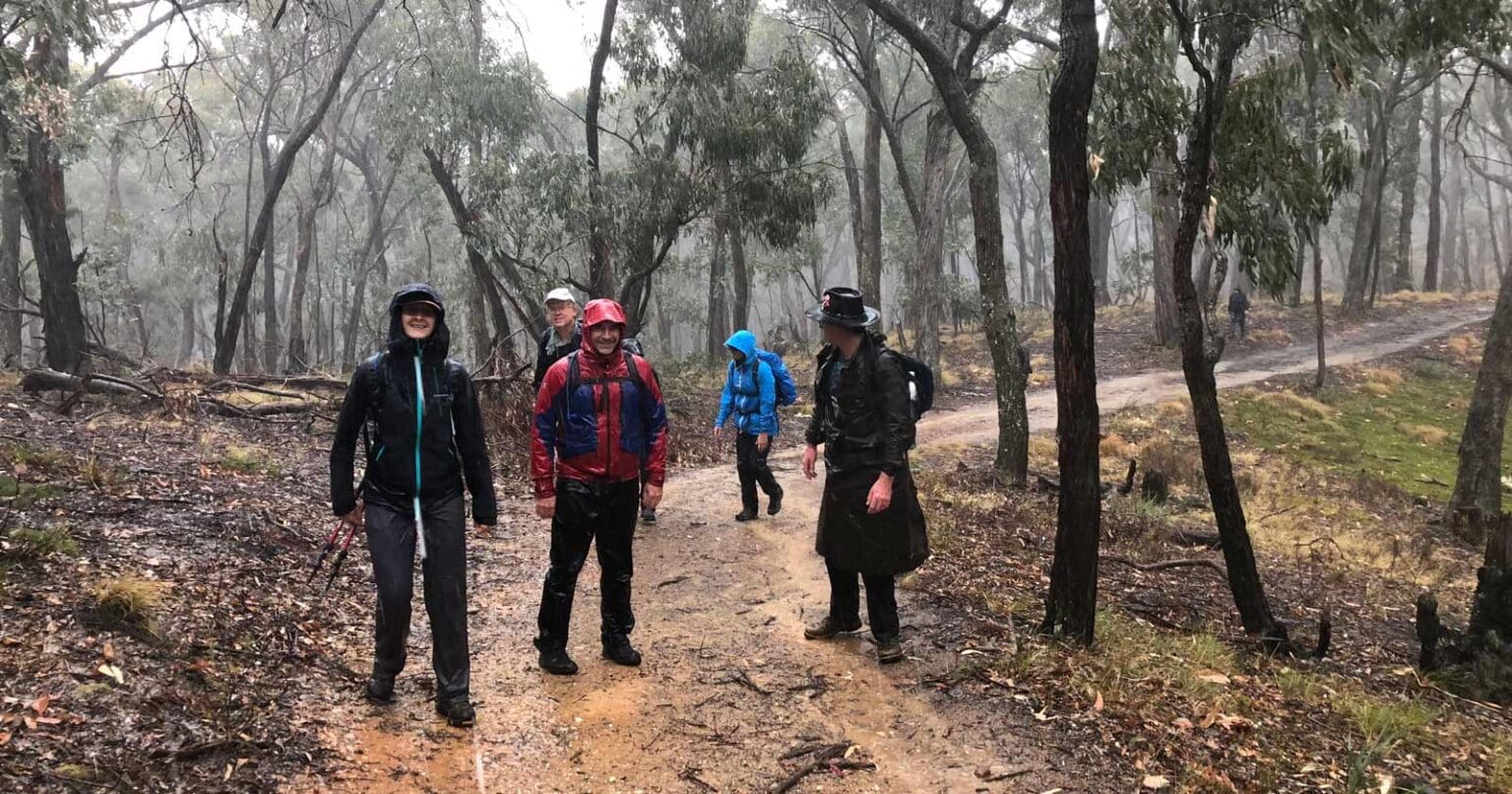 Day Hikers: The Most at Risk of Becoming Lost