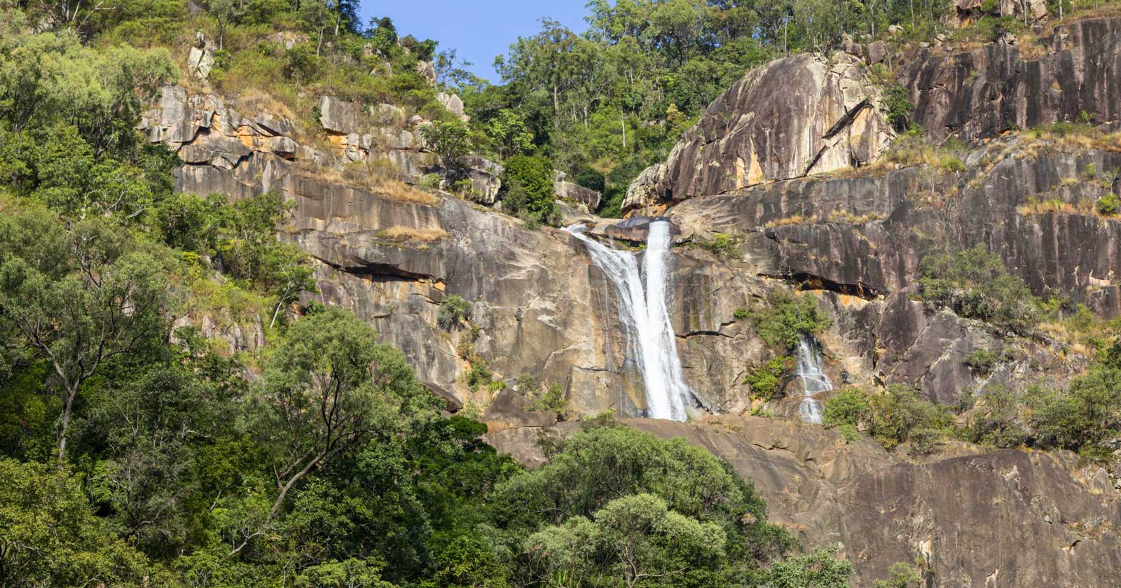 Jourama Falls Lookout Walk (3km) - Paluma Range National Park, QLD
