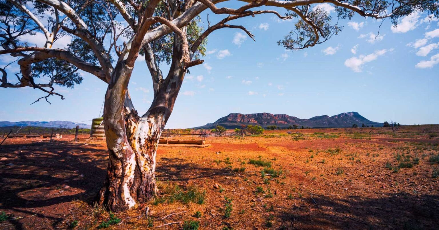 Ikara-Flinders Ranges National Park: SA’s Rugged Outback