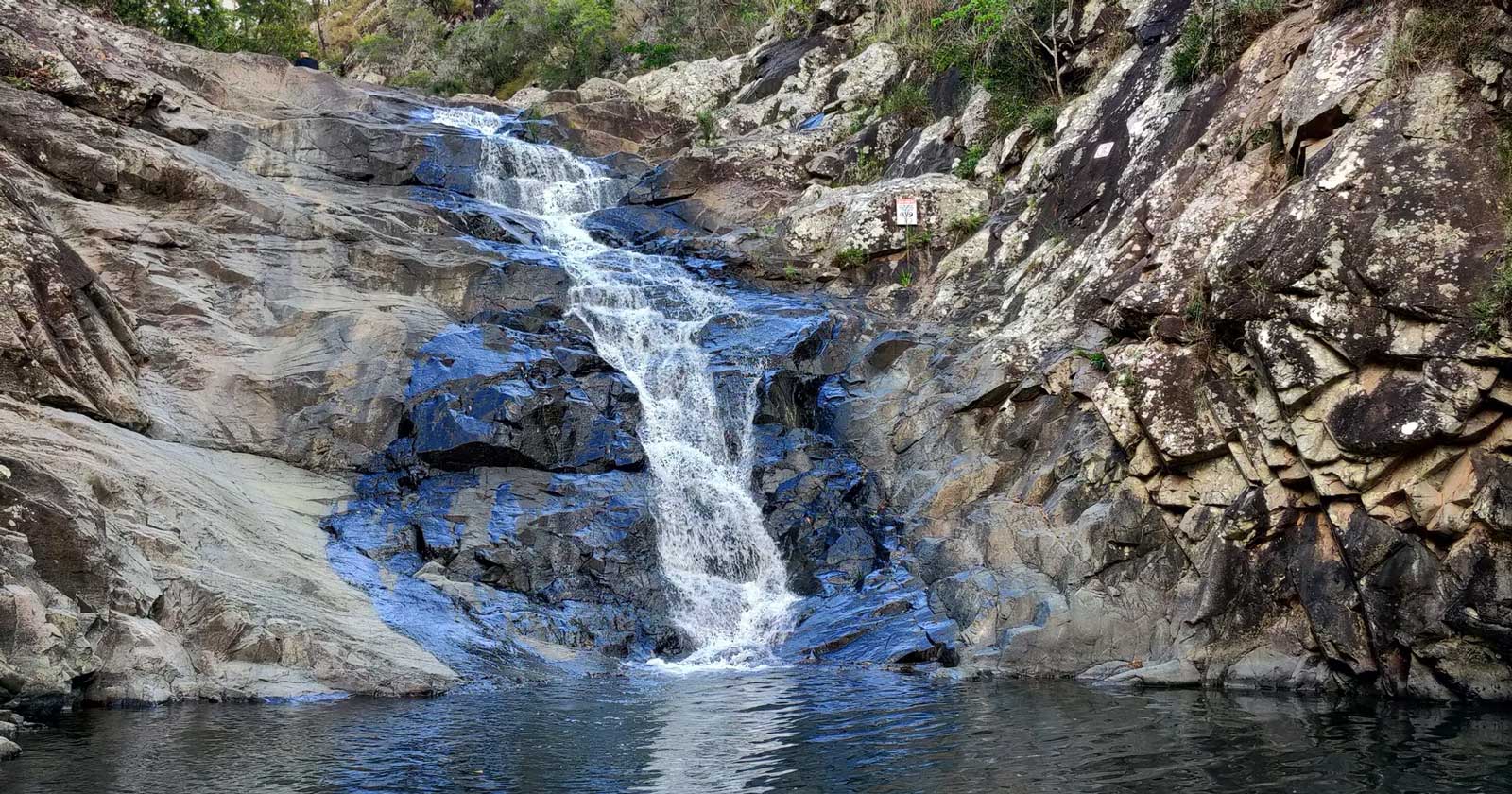 Cedar Creek Falls Track (1.2km) - Tamborine National Park, QLD