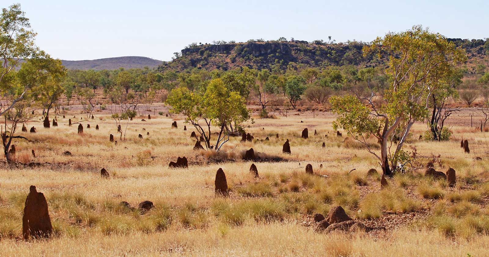 Riversleigh Fossil Trail (1km) - Boodjamulla (Lawn Hill) National Park, QLD