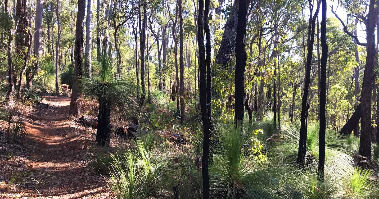 Stacey's Loop Track (2.3km) - Serpentine National Park, WA