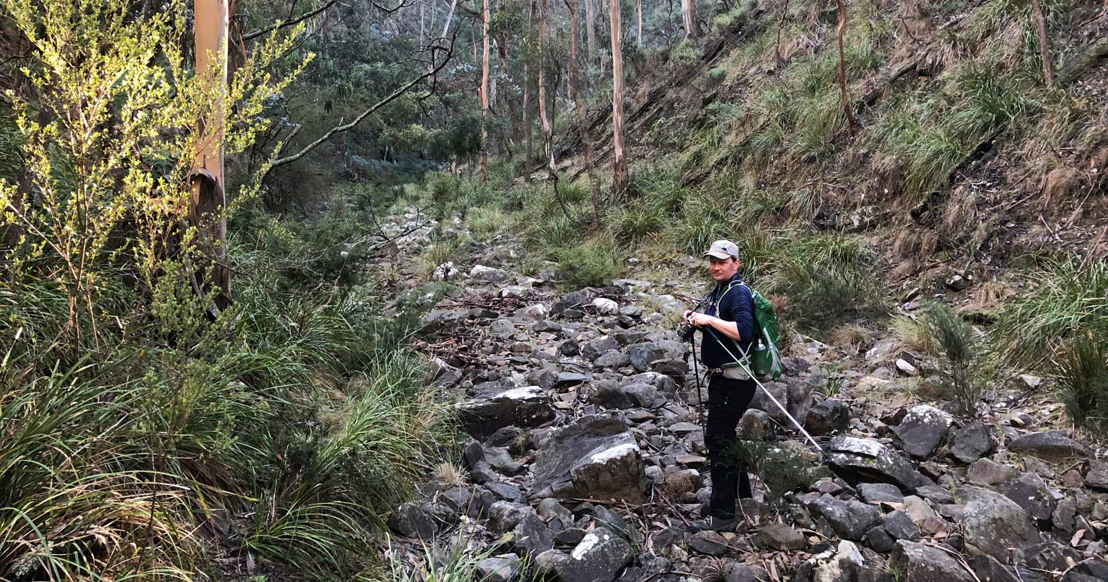 Find the Best Hikes, Walks, and Bushwalks in Australia